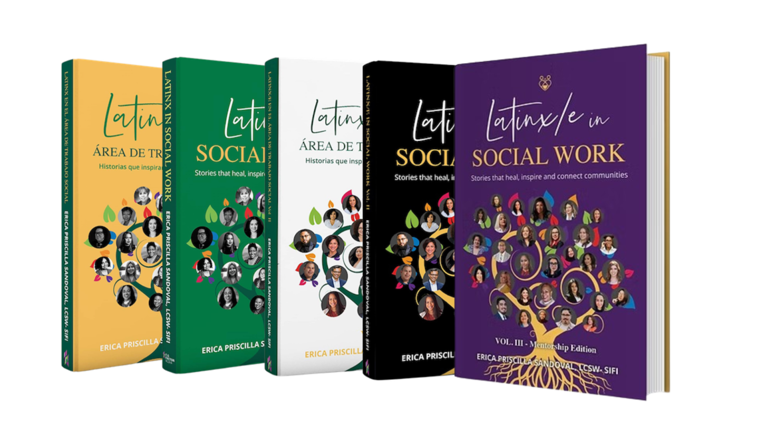 The Book – Latinx in Social Work